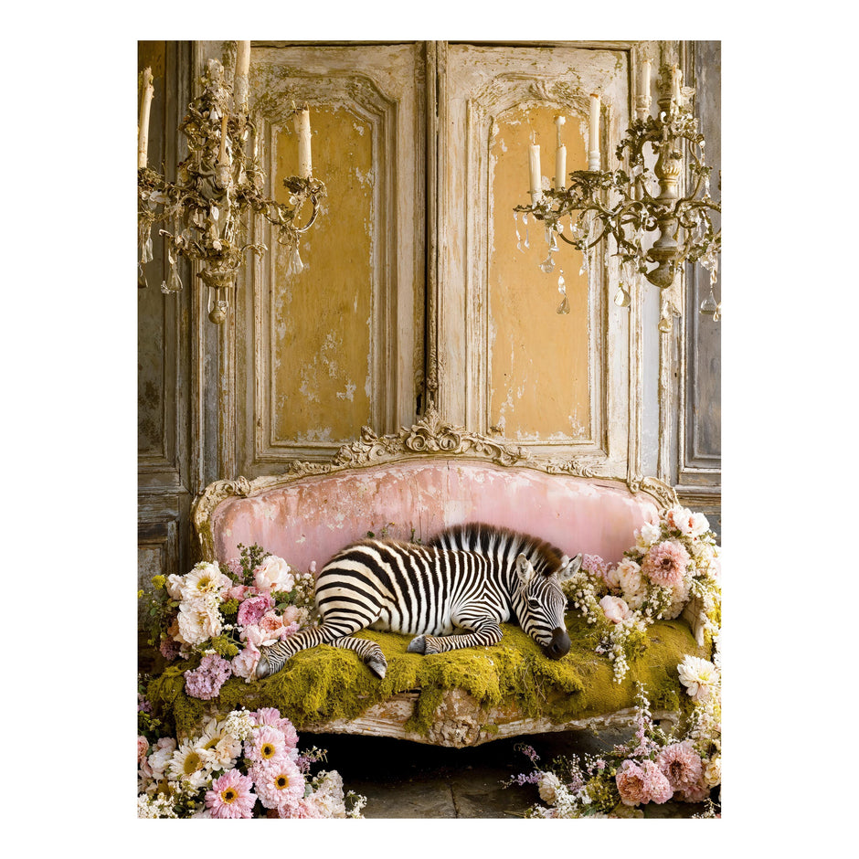 Fine Art Prints – Porter Art Guild